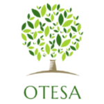 OTESA – Private Occupational Therapy Assessments